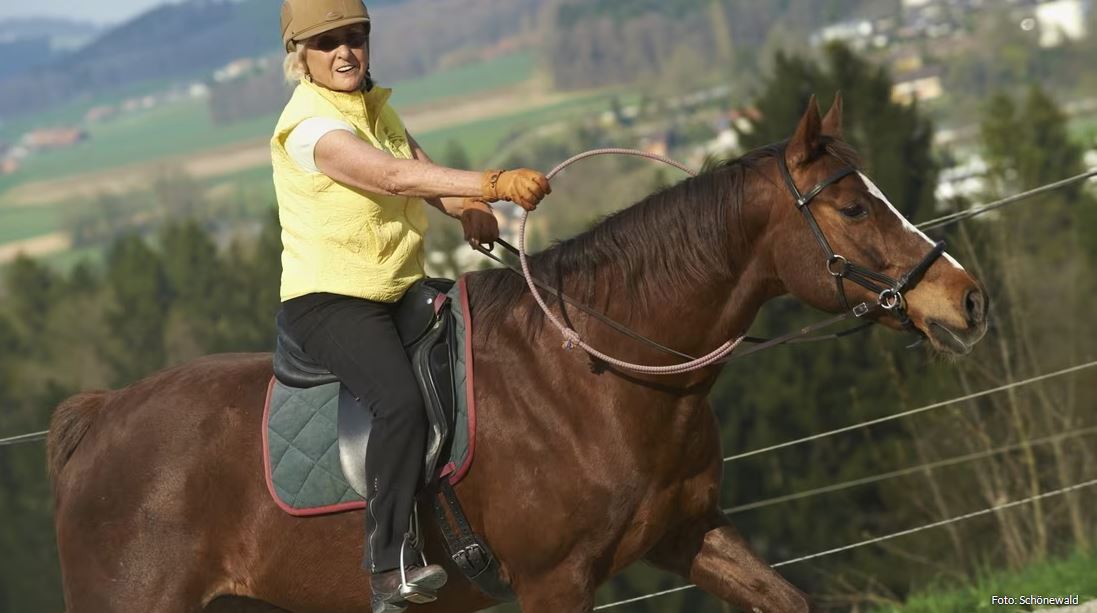 Tellington TTouch Methode wird 50 Jahre alt - Tellington TTouch® Verein ...